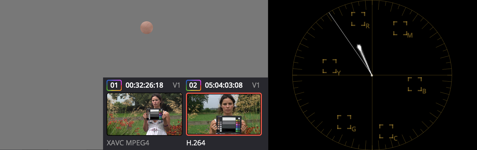 How to match cameras in post