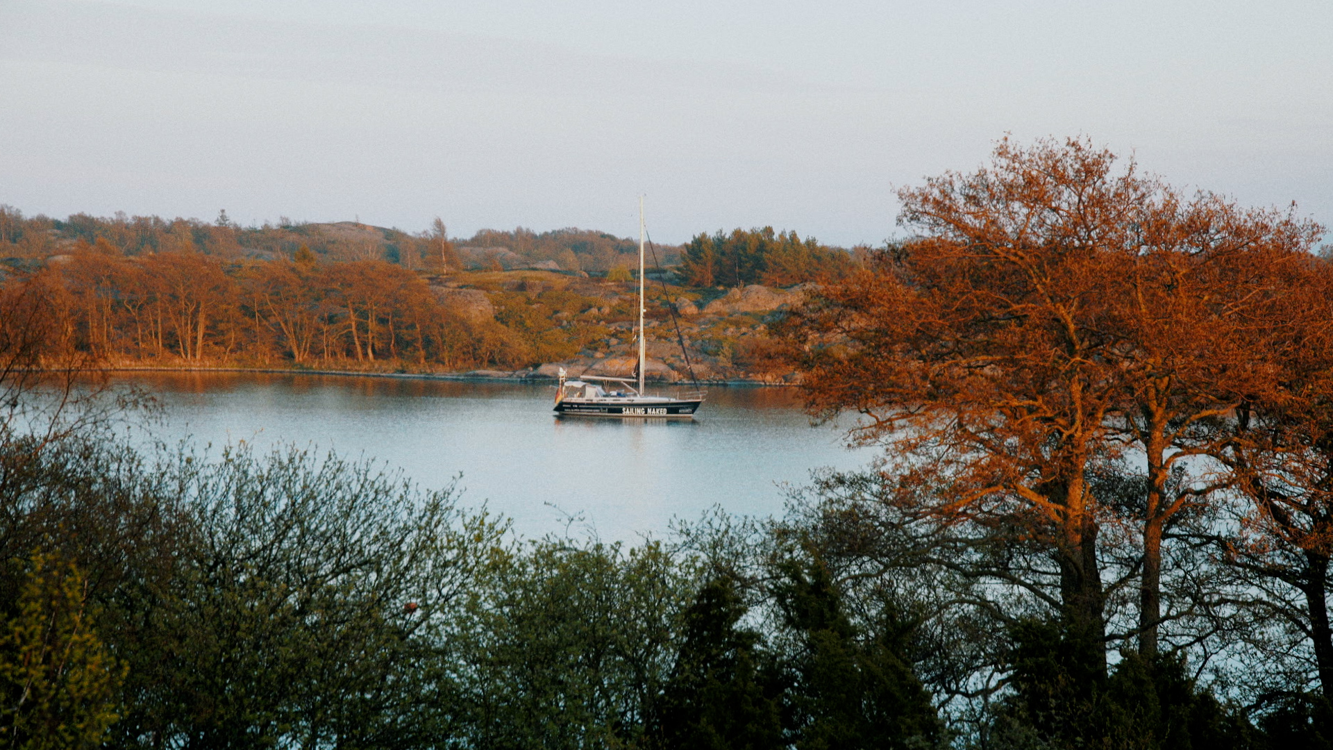 201221_FinalCut_Sarah.00_04_09_10.Still034 - FilmConvert ColorHub