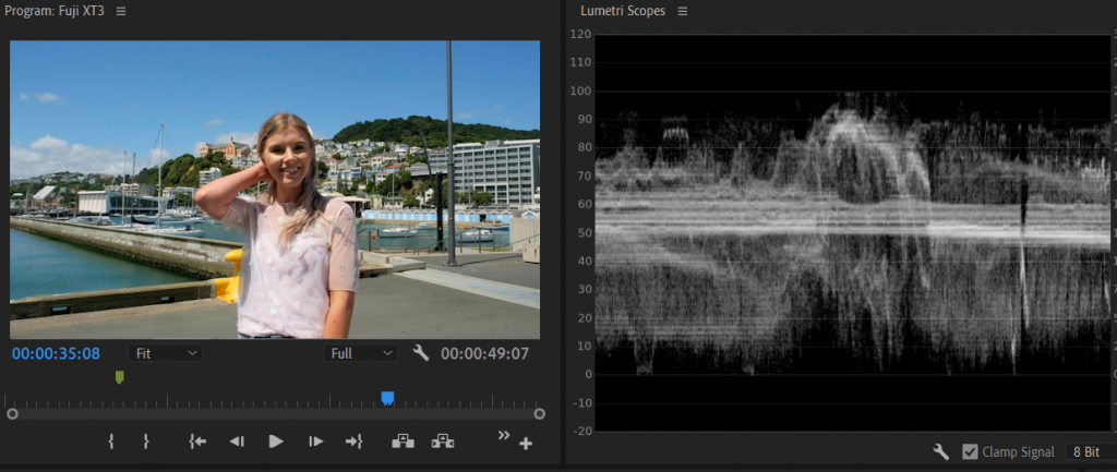 Luma-waveform - FilmConvert ColorHub