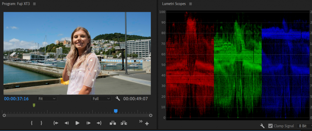 CineMatch Premiere Workflow Guide