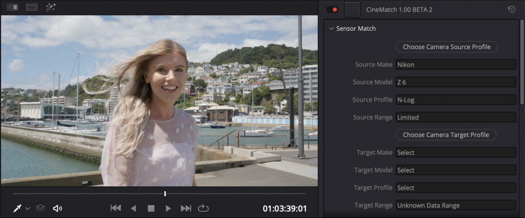CineMatch Resolve Workflow Guide