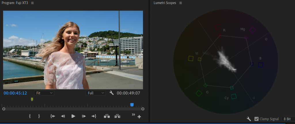 CineMatch Premiere Workflow Guide